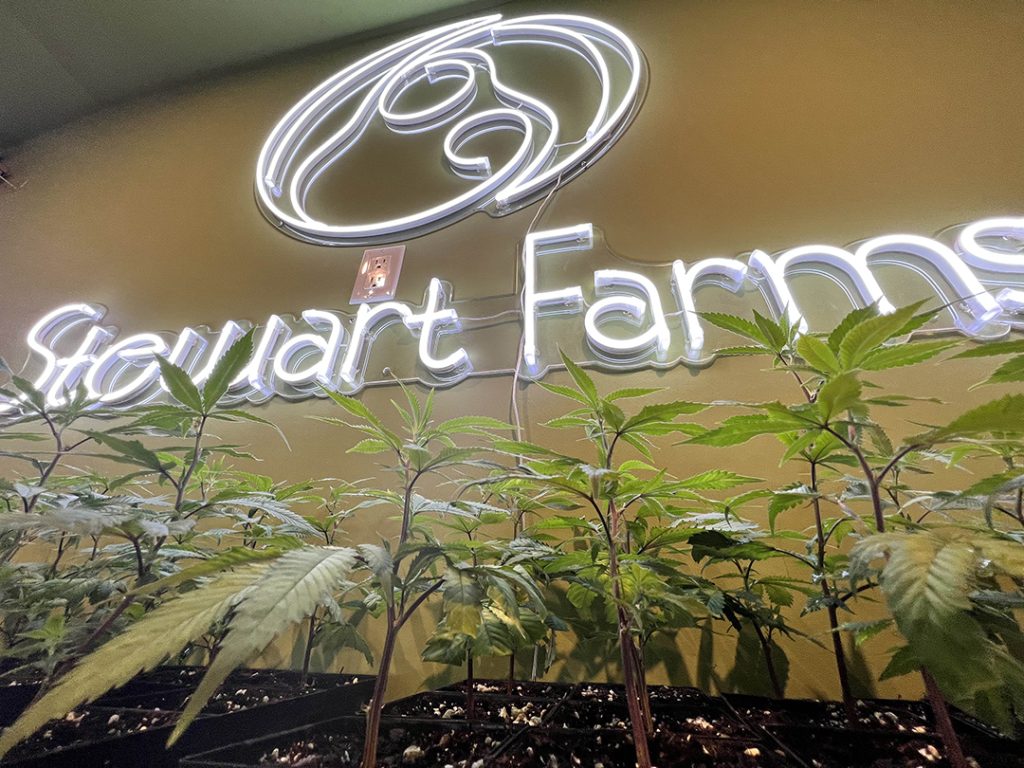 Start your self-care journey with us - Stewart Farms